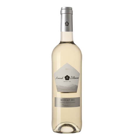 Vente en ligne Vin Muscat Sec - ARNAUD DE VILLENEUVE